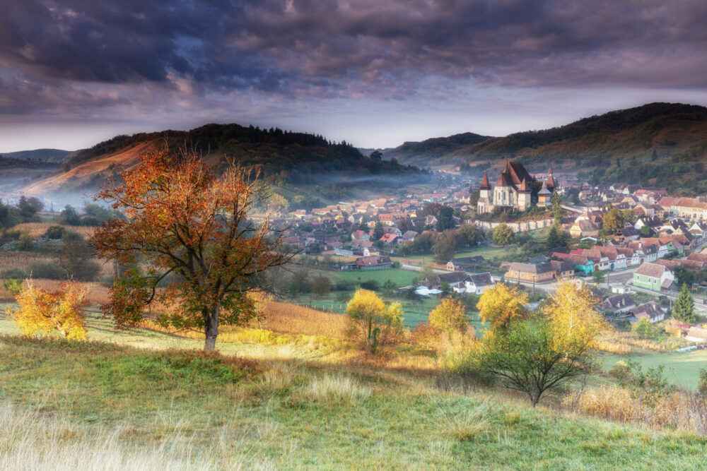 Colinele Transilvaniei - noua destinație ecoturistică - Forbes.ro